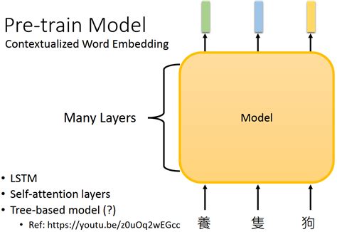 Ntu Dl：ch08 Pre Trained Language Models 知乎