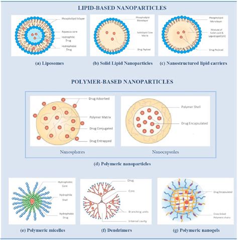 Different Types Of Nano Carrier Systems For Brain Drug Delivery