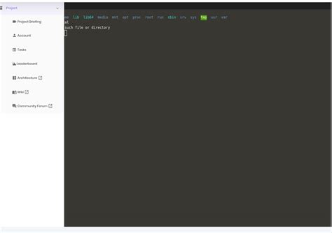 terminal not visible properly kodekloud engineer kodekloud devops