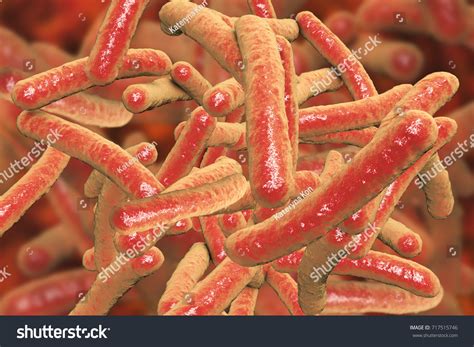 Bacteria Mycobacterium Tuberculosis Causative Agent Tuberculosis Stock