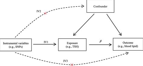 Illustrative Diagram Showing The Mr Framework To Investigate The Causal