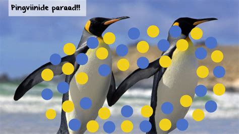 Pingviinide Paraad By Piia Marie Leesme On Prezi