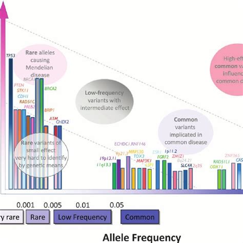 Allele Frequency And Effect Sizes For Genetic Variants Associated With