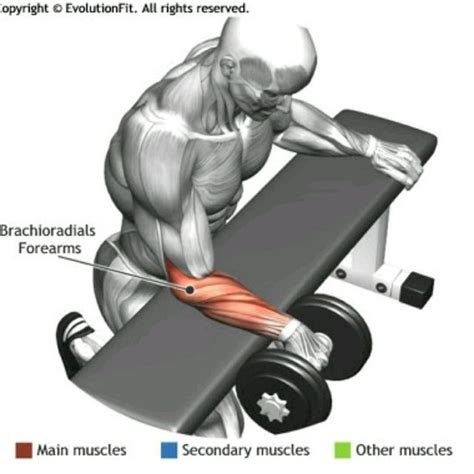 Palm Down Wrist Curl By Dave D Exercise How To Skimble