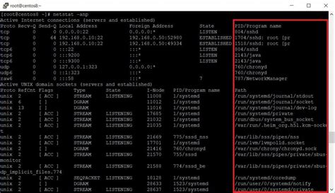 netstat command not found on centos 8 rhel 8 quick fix itzgeek