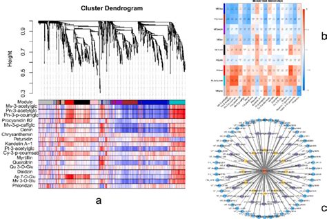 Weighted Gene Co Expression Network Analysis Wgcna Of Uva Irradiation