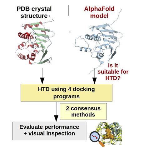 How Good Are Alphafold Models For Docking Based Virtual Screening