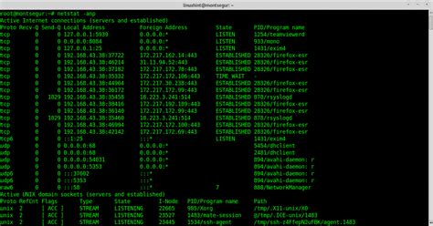list of essential linux security commands