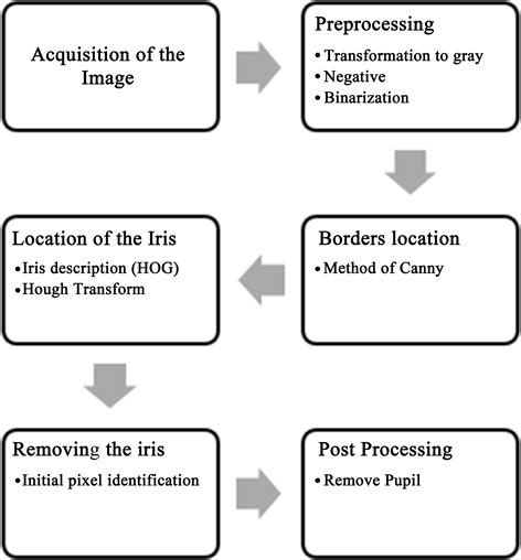 implementation of the hough transform for iris detection and segmentation