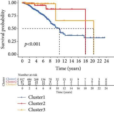 Extraction And Unsupervised Consensus Clustering Analysis Of 13