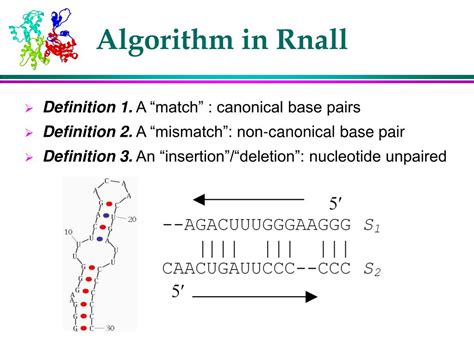 Ppt Rna Secondary Structure Prediction Powerpoint Presentation Free