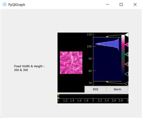 pyqtgraph getting fixed width height of image view geeksforgeeks