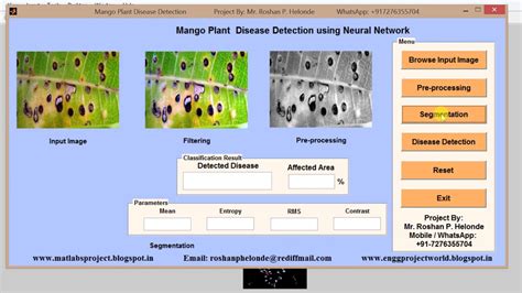mango plant disease detection using neural network matlab