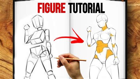 How To Draw Basic Anatomy Tutorial And Tricks Youtube