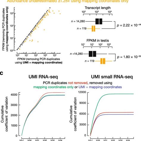 umi incorporation into small rna seq a overall workflow the method
