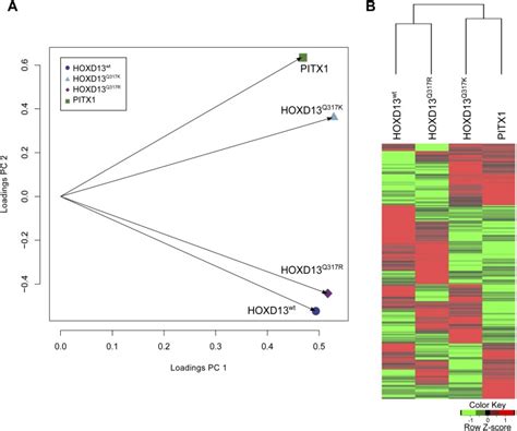 Distinct Global Shifts In Genomic Binding Profiles Of Limb Malformation