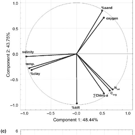 results of the statistical analysis a hierarchical dendrogram of