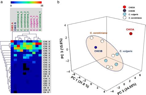 multivariate analysis a heat map visualization and cluster tree
