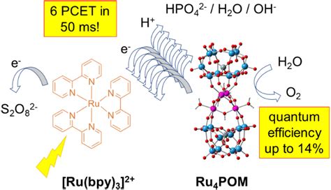 Sequential Proton Coupled Electron Transfer Events From A