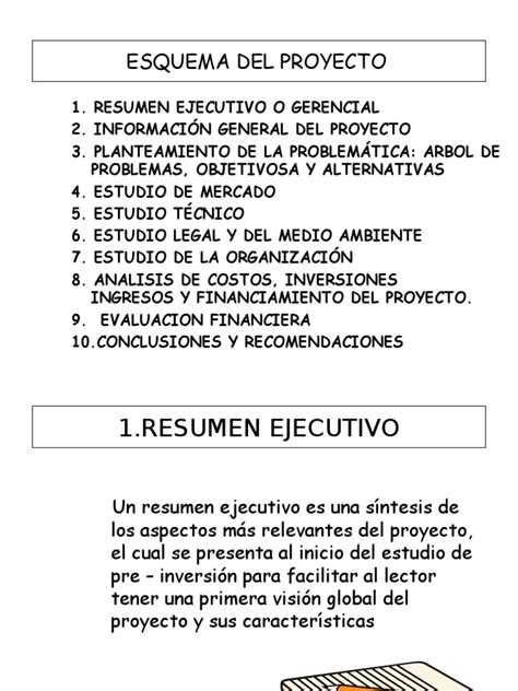 Resumen Ejecutivo De Proyecto Ppt Calidad Comercial Ciencias