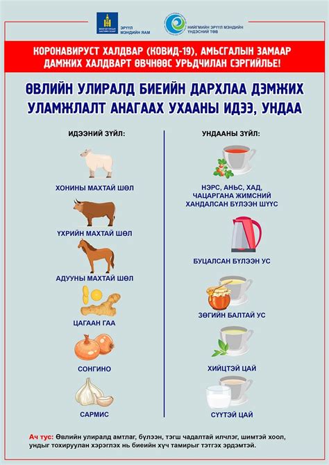 Өвлийн улиралд биеийн дархлаа дэмжих уламжлалт анагаах ухааны идээ ундаа