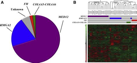 Genomics Of Uterine Leiomyomas Insights From High Throughput