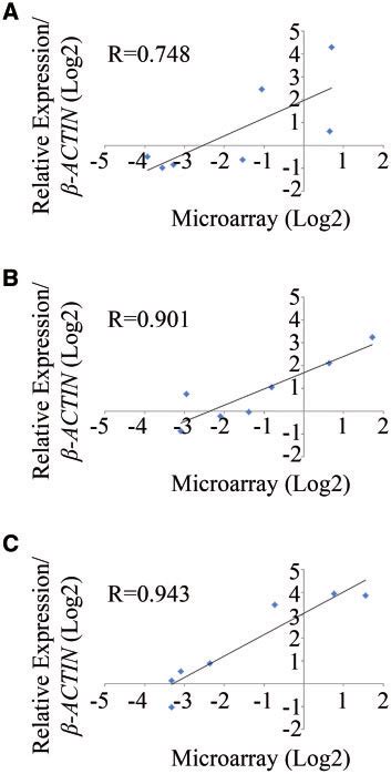 qpcr comparative analysis of microarray data for adult male testes