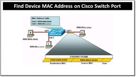 commands to find device mac address on cisco switch port ip with ease
