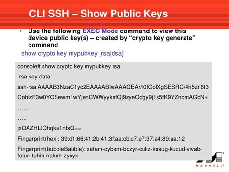 purpose crypto key generate rsa command newwrap