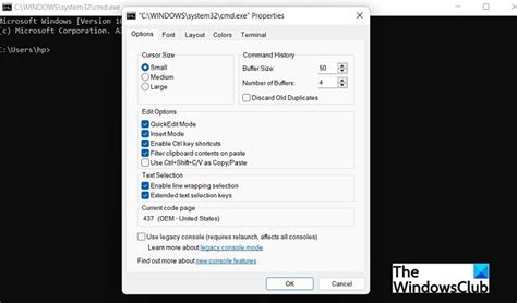 ctrl c and ctrl v not working in windows 11 10