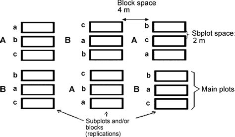 the subplots allocated randomly to each main plot
