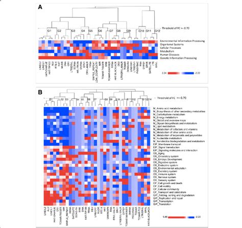 hierarchical clustering of repeats based on their frequency in the upr