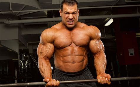10 Best Bicep Building Exercises Of All Time Biceps Senior