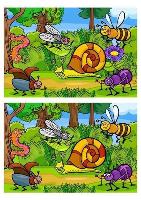 find the difference between two images 13 funnycrafts