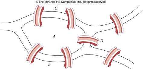discrete structures graph theory