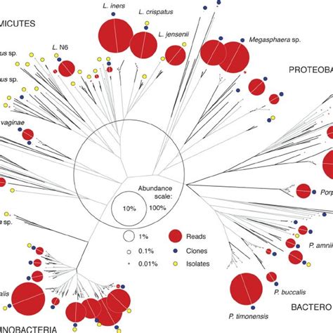 k means clustering of otus using genespring software download