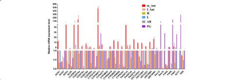 Relative Expression Levels Of Sex Pheromone Biosynthesis And