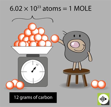 What Is A Stoichiometry Calculator And How Should You Use It