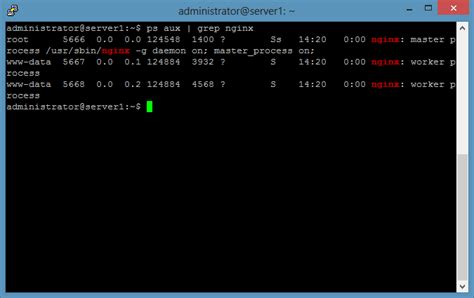 installing nginx with php and mariadb as mysql replacement lemp on