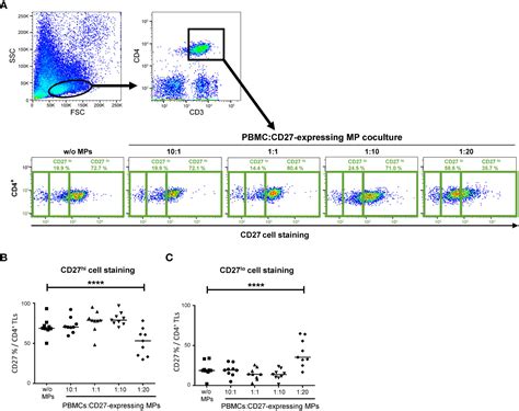 Frontiers Cd27 Microparticle Interactions And Immunoregulation Of