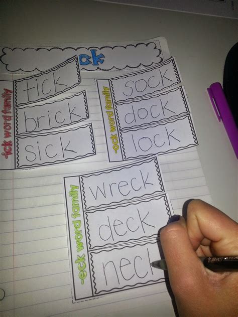 interactive notebook set up elementary nest