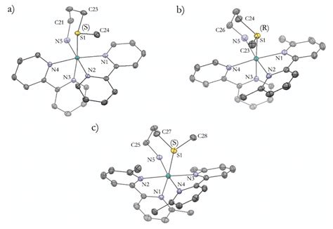Projection Of The Cationic Complex In The Crystal Structure Of The Λ