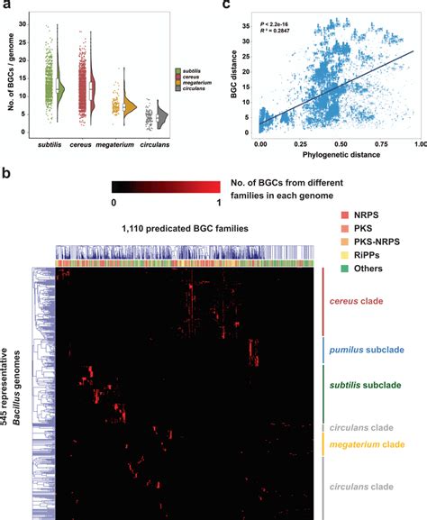 Biosynthetic Gene Cluster Bgc Distribution Is Correlated With
