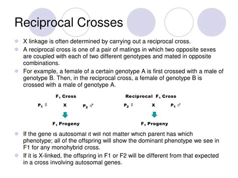 Ppt Sex Linkage And Pedigrees Powerpoint Presentation Free Download