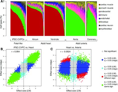 Developmental Stage Associated Expression Differences Between