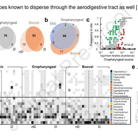 Taxonomic And Phylogenetic Characterization Of Otic Oropharyngeal And
