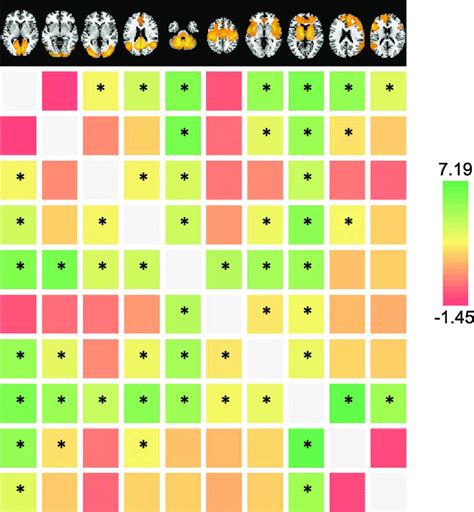 correlation matrix illustrating widespread increased functional