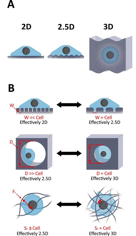 Classification And Ambiguity Of 2d So Called 2 5d And 3d Culture