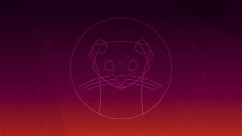 ubuntu 19 10 wallpaper