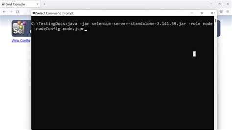 selenium grid node json configuration file
